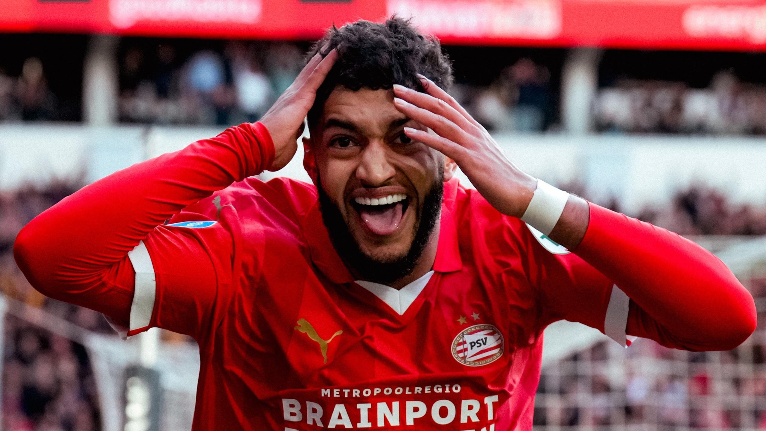 Videos porno de roxana moll